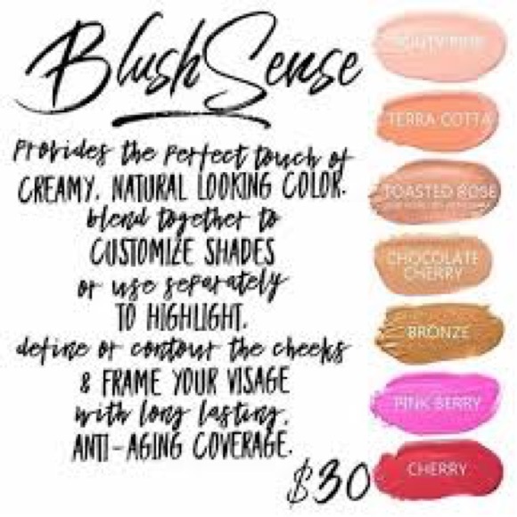 LipSense | Makeup | Blushsense Chocolate Cherry Cream Blush | Poshmark